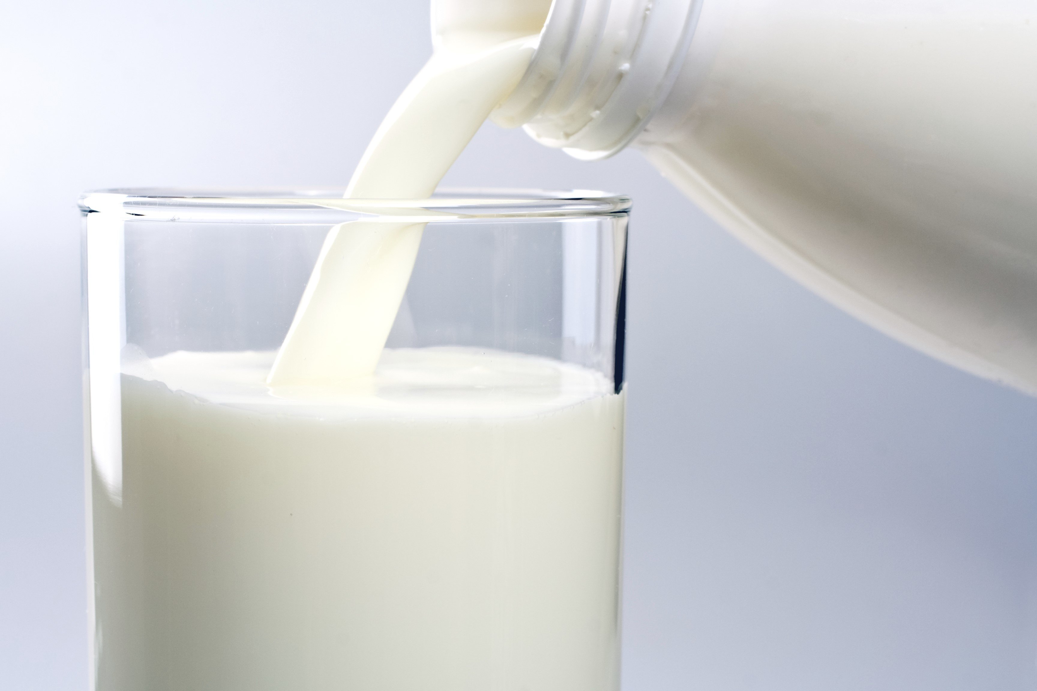 Milk Desktop | WallPics Milk Desktop | WallPics