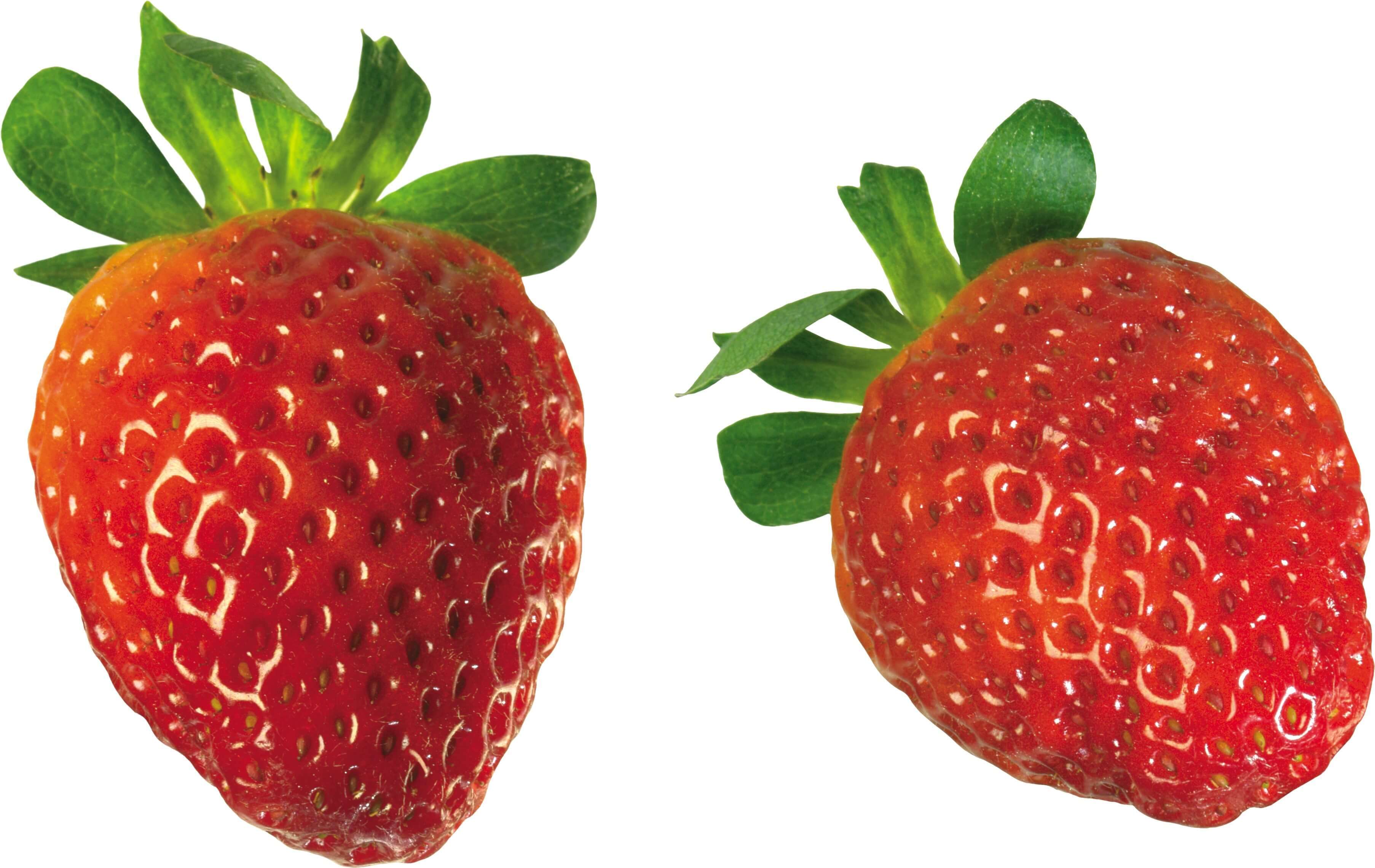 Strawberry High Quality | WallPics